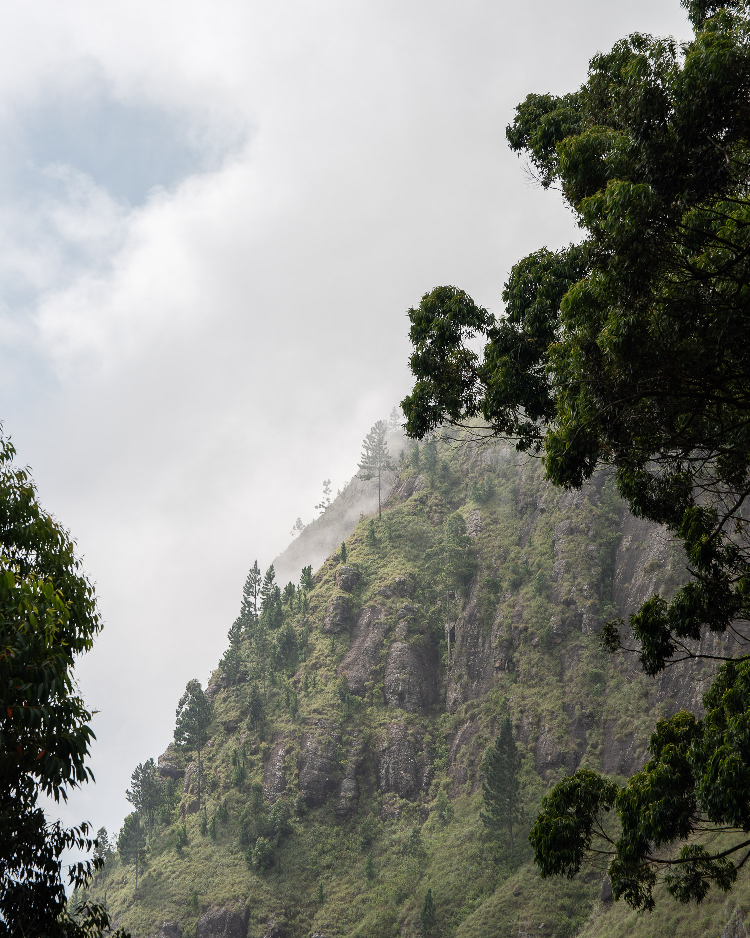 Complete Guide to 2 Days In Ella, Sri Lanka - trust me travel